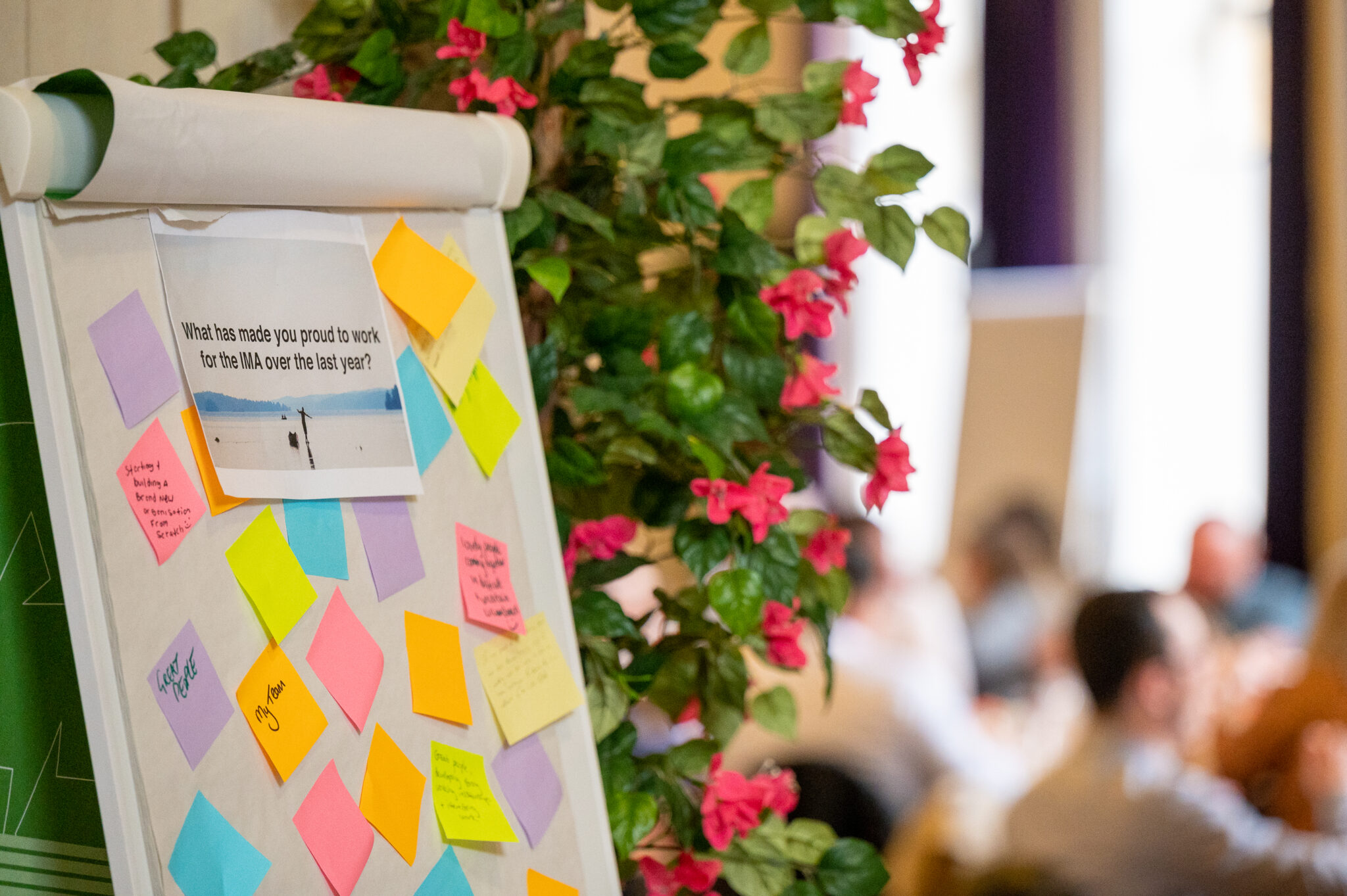 IMA Marks Five Years of Safeguarding Citizens’ Rights - Independent ...